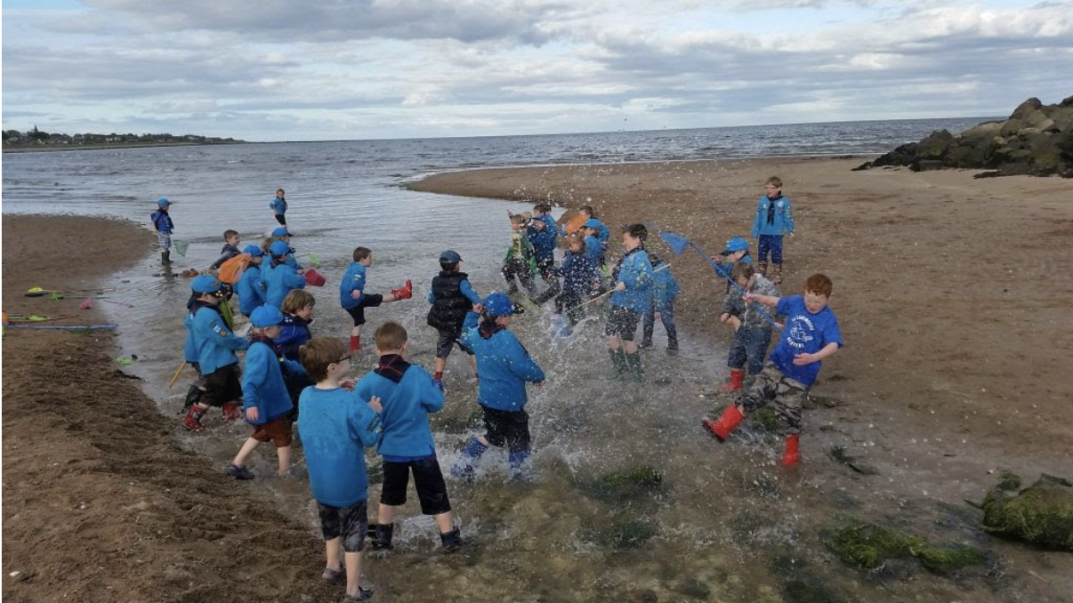 Beaver Scouts (6-8) | South Angus District